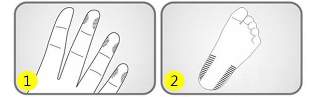 Auto Disabled Lancet 21G 1.8mm Light Blue for Blood Typing Tests